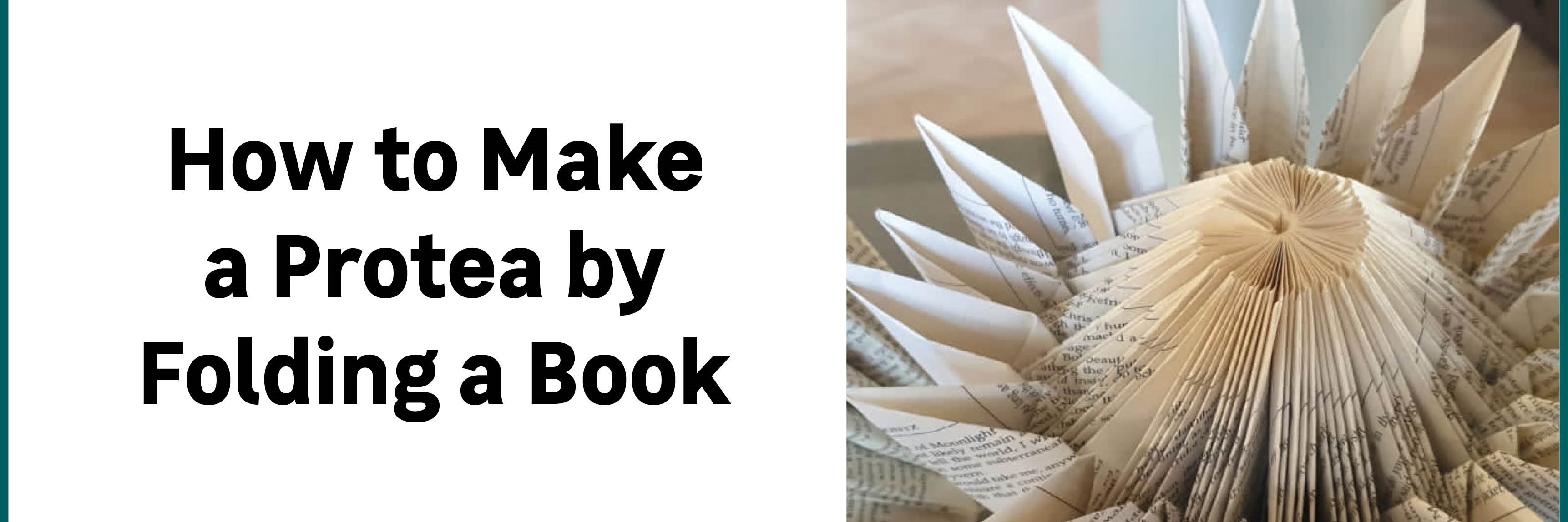 Book tickets for How to make a protea by folding a book