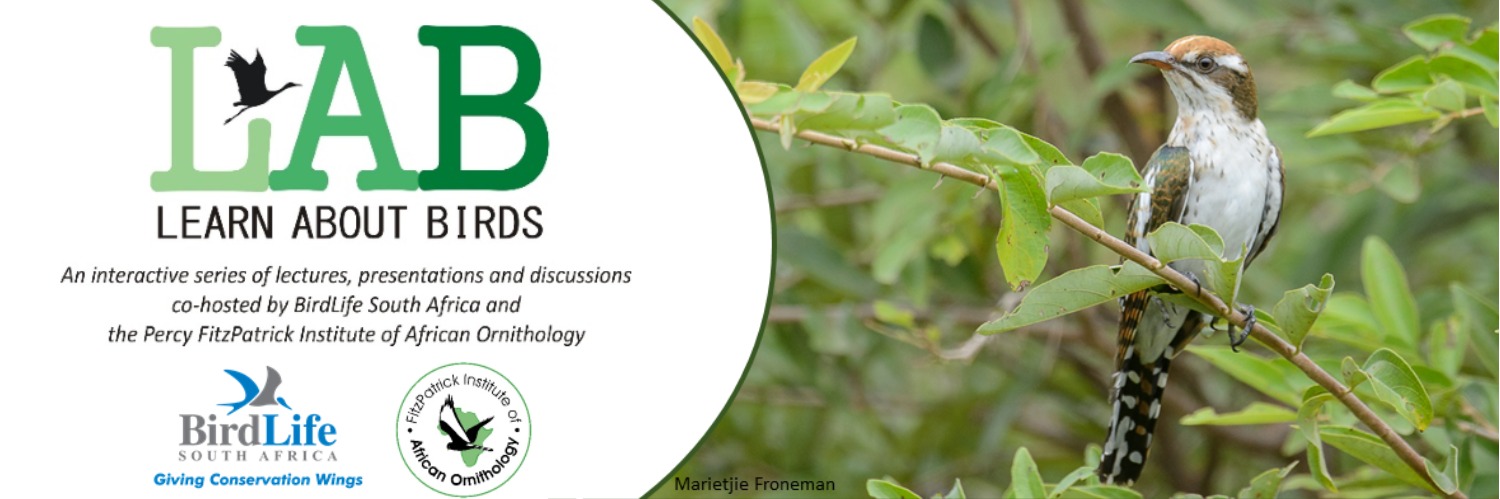 Book tickets for Virtual Learn About Birds (LAB) Conference