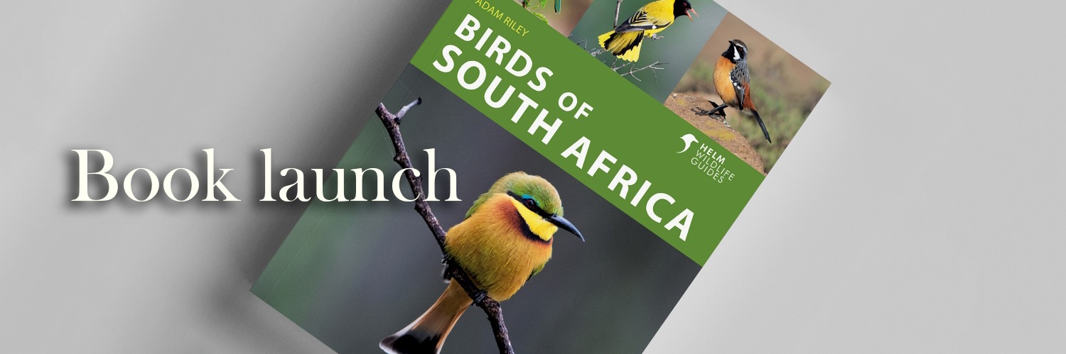 Book tickets for ROCKJUMPER: THE OFFICIAL LAUNCH OF “BIRDS OF SOUTH ...