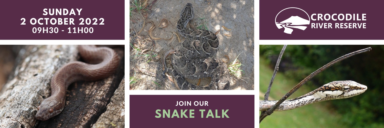 Book tickets for Snake Talk