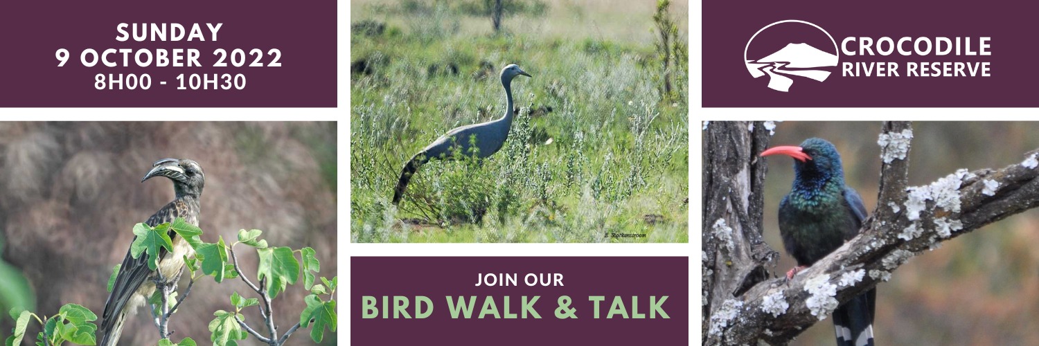Book tickets for Bird Walk & Talk