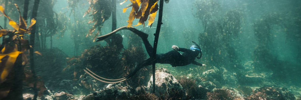 Book tickets for Coastal Forage Adventure Weekend