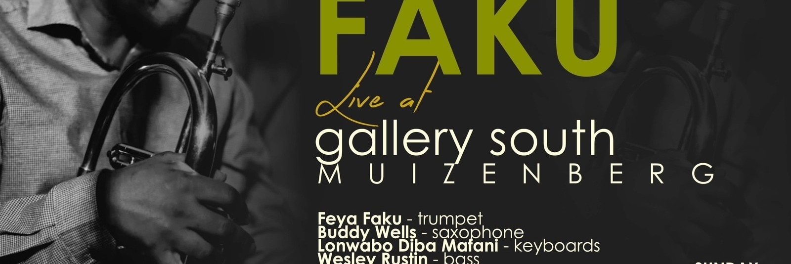 Book tickets for Feya Faku@Gallery South