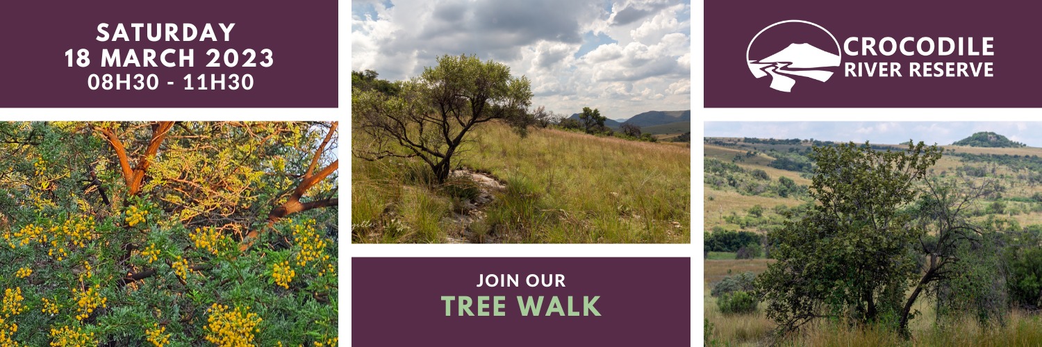 Book tickets for Tree Walk (March 2023)