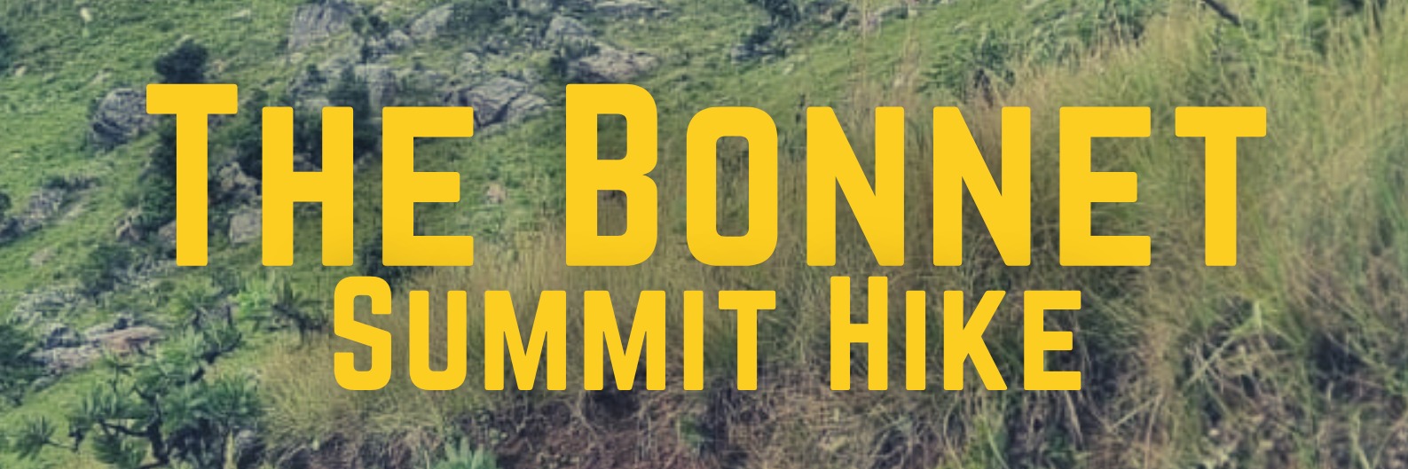 Book tickets for The Bonnet Summit Hike