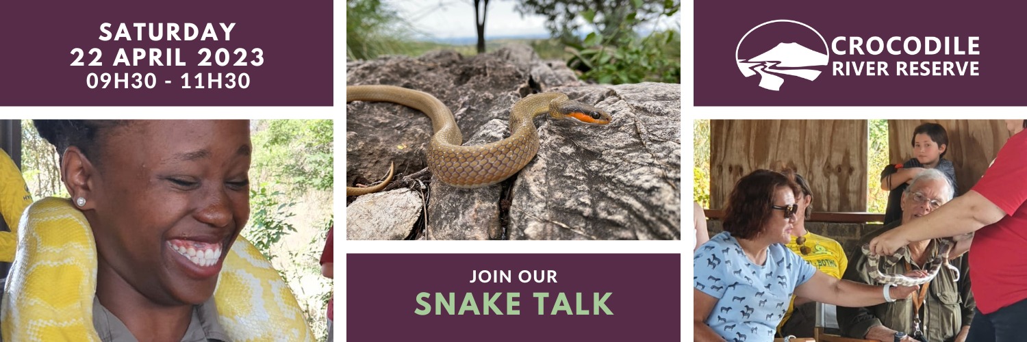 Book tickets for Snake Talk