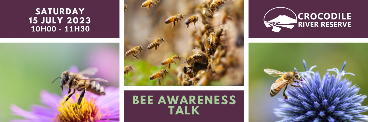 Book tickets for Bee Awareness Talk