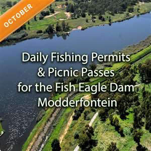 MODDERFONTEIN RESERVE on Quicket