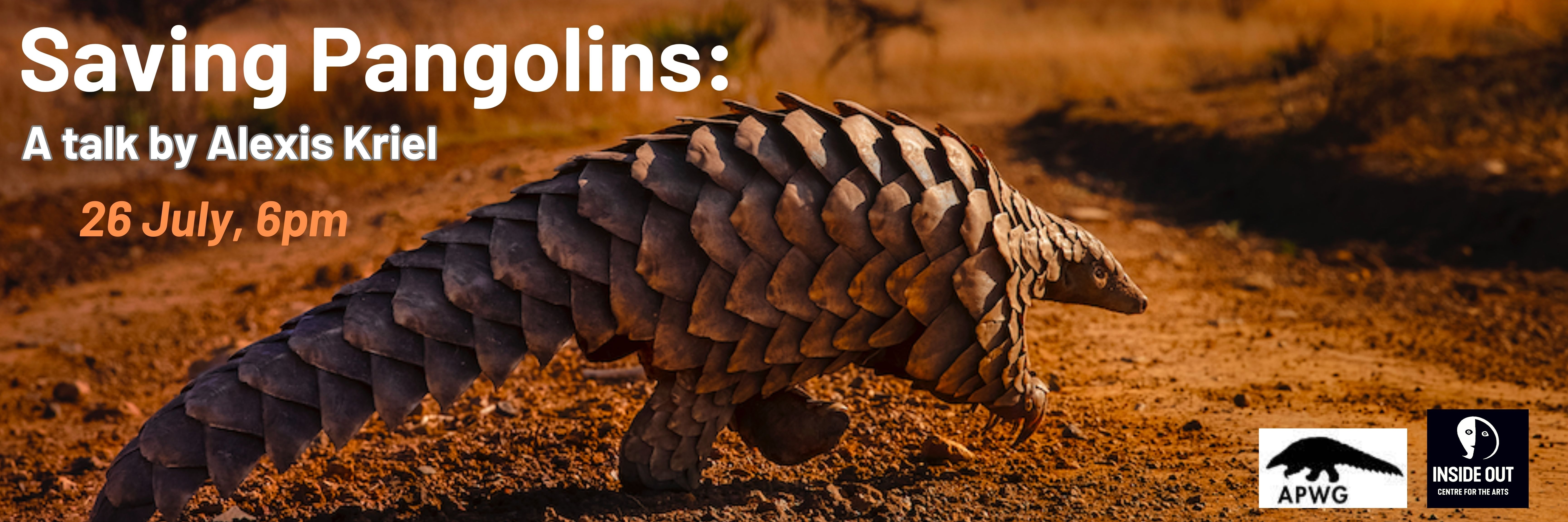 Book tickets for Saving Pangolins: A Talk with Alexis Kriel