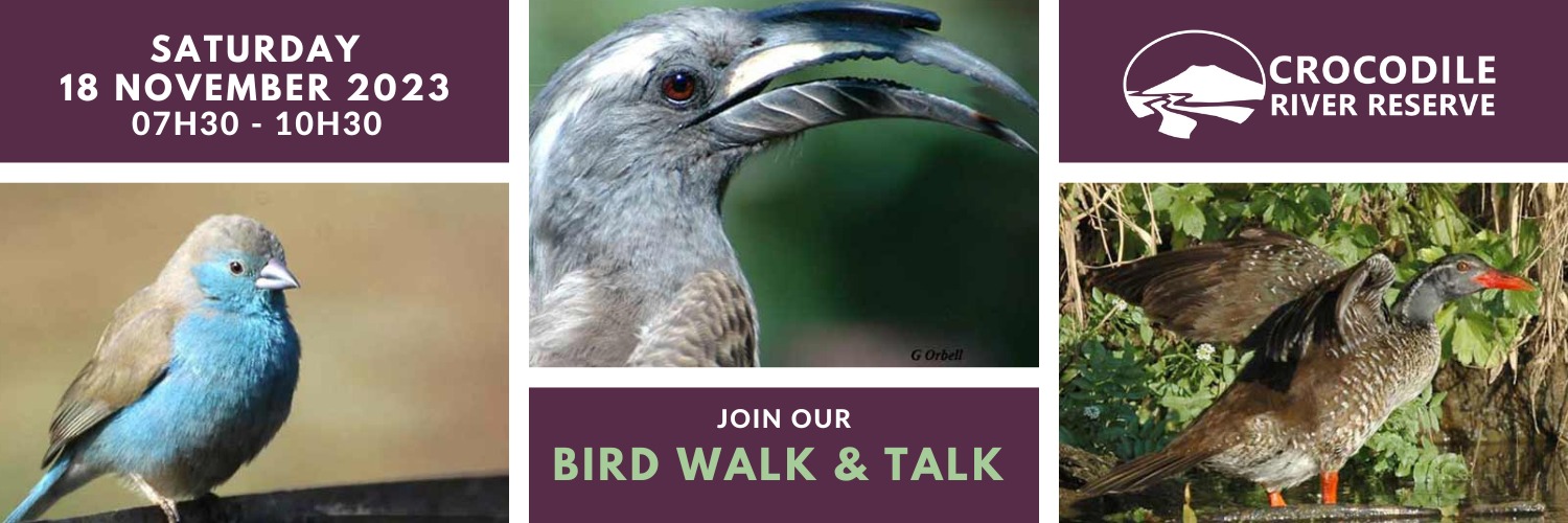 Book tickets for Bird Walk & Talk 2023