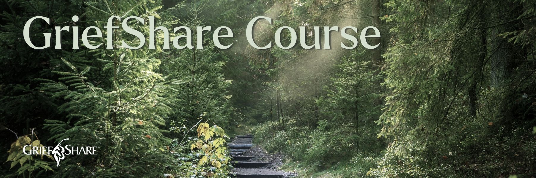 Book tickets for GriefShare - 13 week course