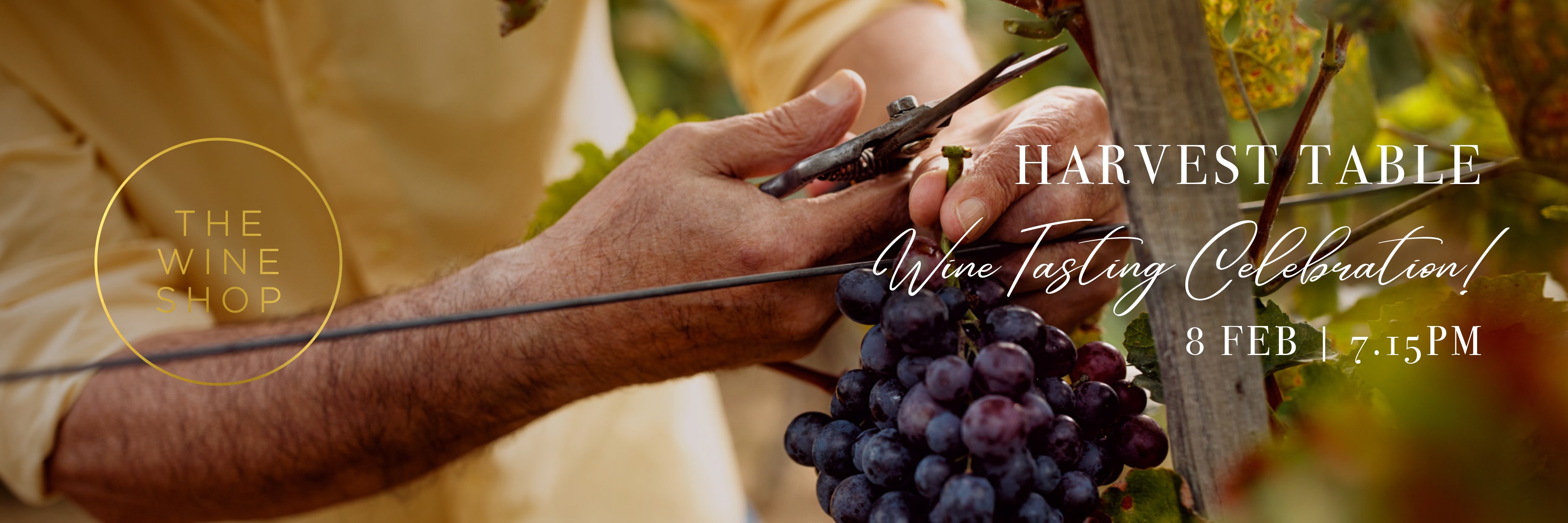 Book tickets for Harvest Table Wine Tasting Celebration!