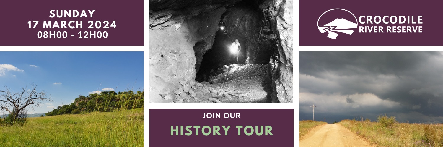 Book tickets for History Tour (March 2024)