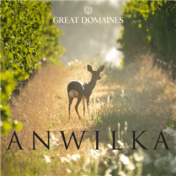 Buy event tickets | Quicket