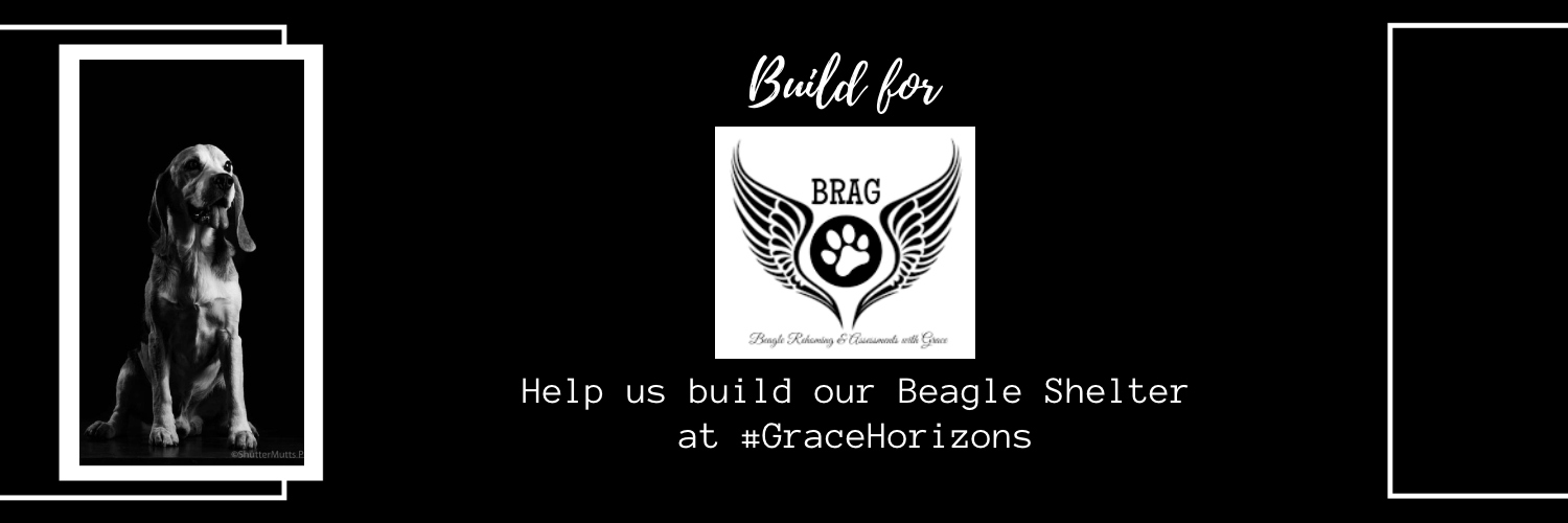 Book tickets for Build for BRAG at Grace