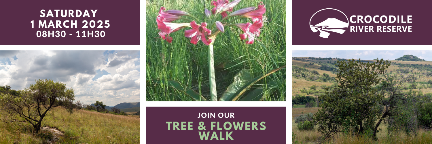 Book tickets for Tree & Flower Walk 2025