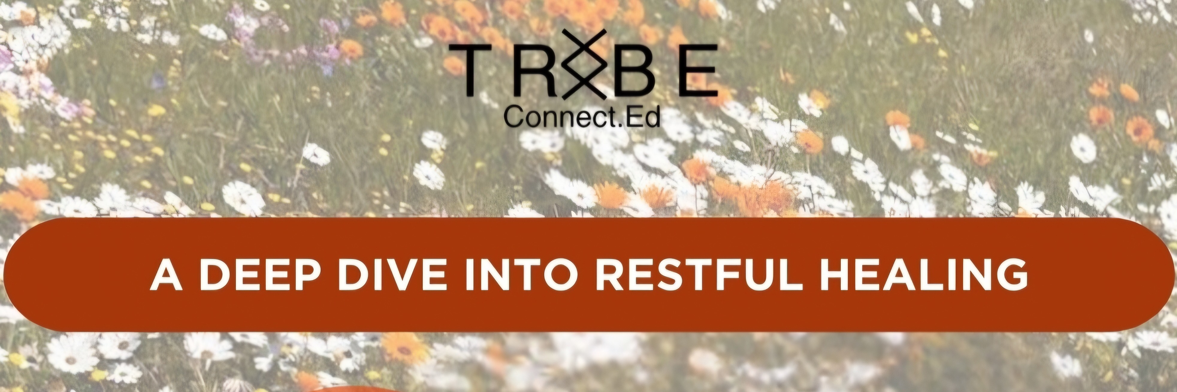 Book tickets for A Deep Dive into Healing and Transformation through ...