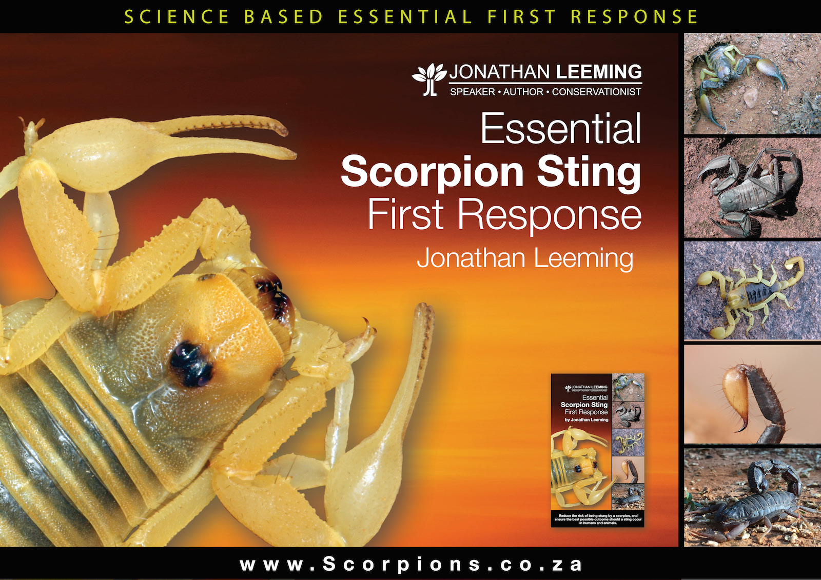 Book tickets for Essential Scorpion Sting First Response Presentation