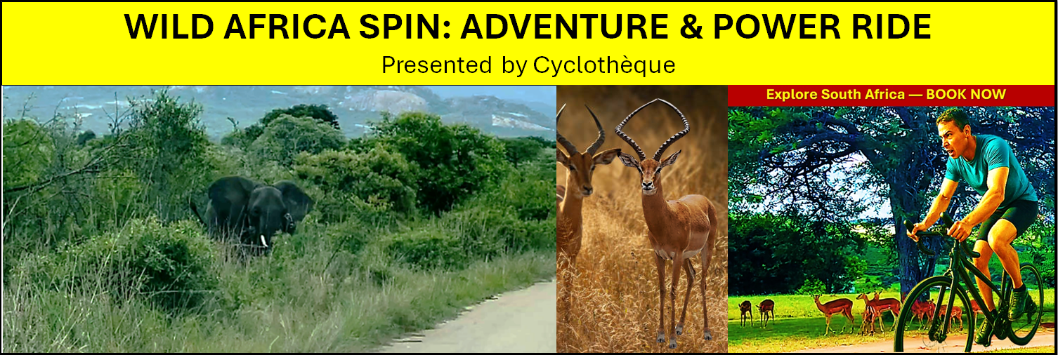 Book tickets for Wild Africa Spin: Adventure & Power Ride